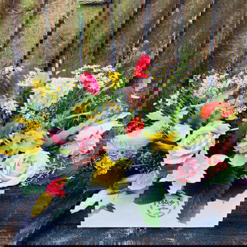 Vintage Spring Container - BBL design Ecommerce