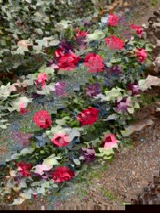 Red and Pink Rose Casket Spray - BBL design Ecommerce